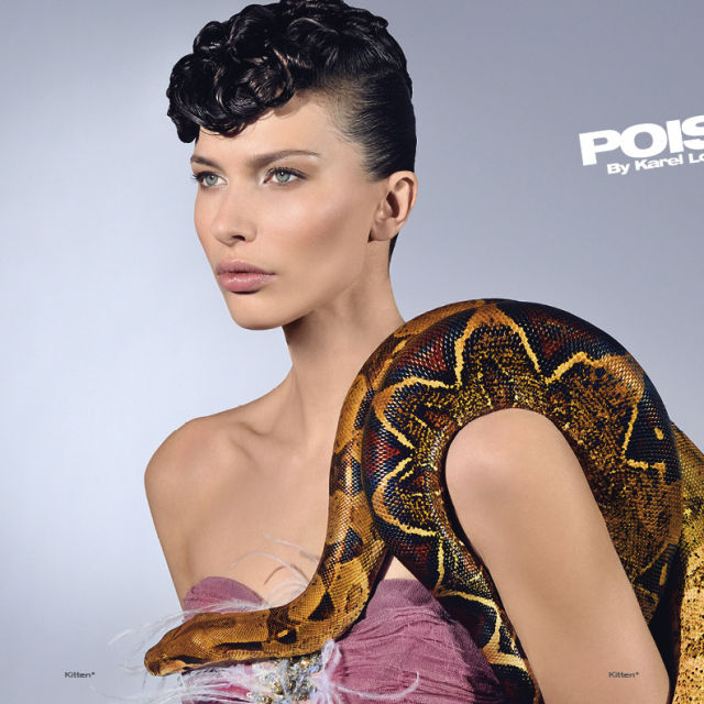 Poison · Kitten Magazine